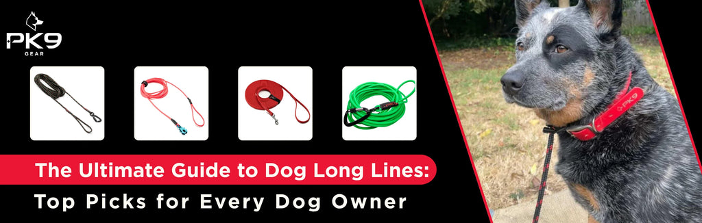 The Ultimate Guide to Dog Long Lines: Freedom, Control & PK9 Gear ...